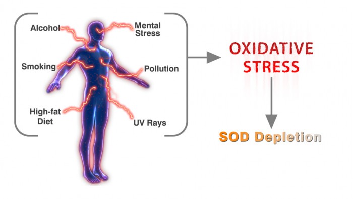 Why supplemented? - Bionov, World's largest SOD producer
