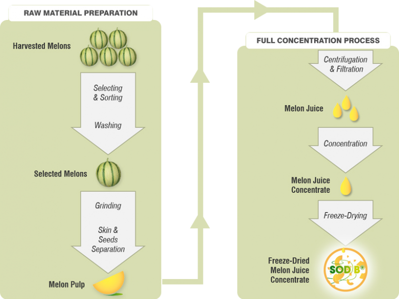Green process - Bionov, World's largest SOD producer