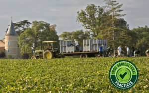 Champs de melons - Bionov, Plus grand producteur mondial de SOD