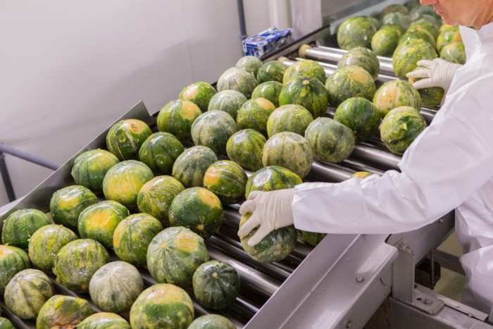 Green process - Bionov, World's largest SOD producer