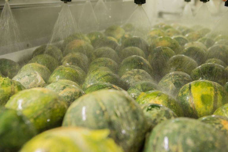 Green process - Bionov, World's largest SOD producer