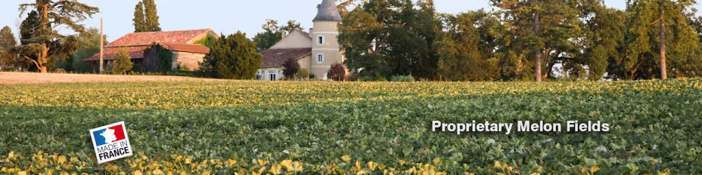 Home - Bionov, World's largest SOD producer