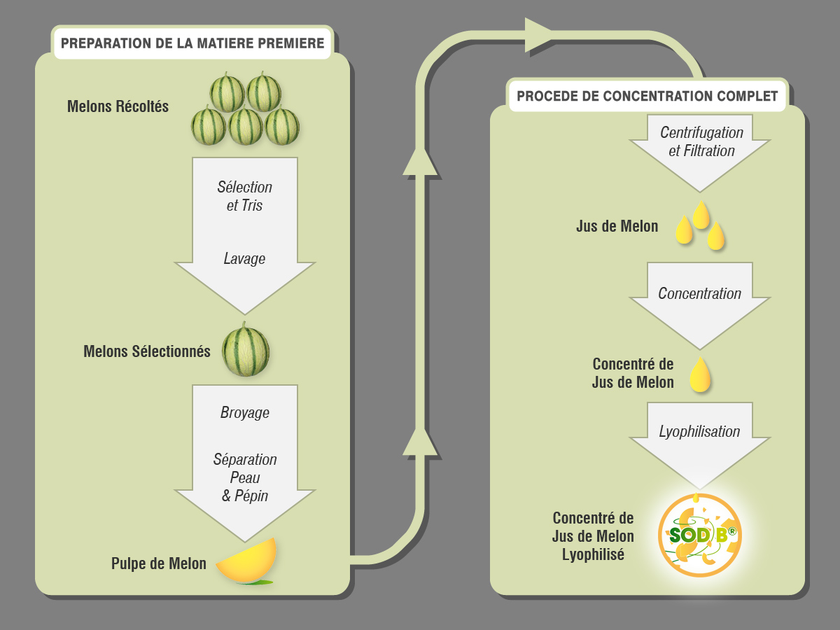Procédé naturel - Bionov, Plus grand producteur mondial de SOD