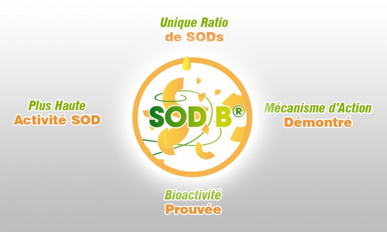 Notre mission - Bionov, Plus grand producteur mondial de SOD
